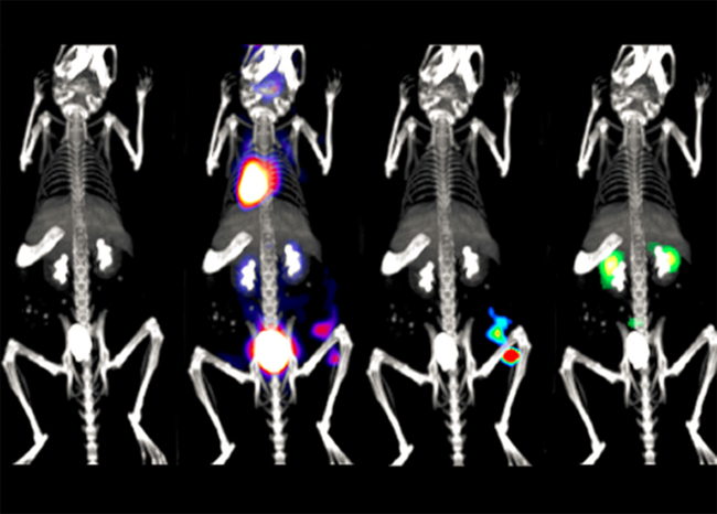 ScienceVision – Multimodality-Imaging