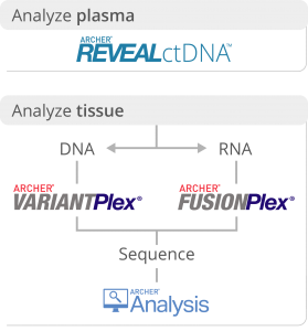 Archer workflows-reveal-variantplex-fusionplex - ScienceVision